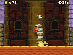 Mummipokey | Mario Wiki | Fandom