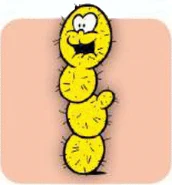 Pokey | MarioWiki | Fandom