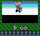 Owl (species) | Mario Wiki | Fandom