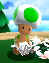 Banktoad | Mario Wiki | Fandom