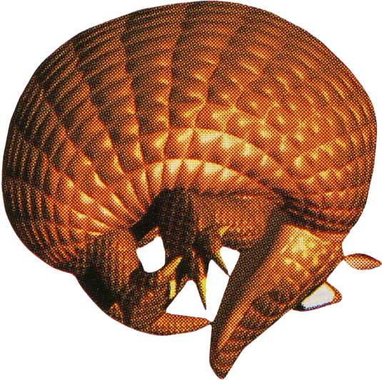 Army | Mario | Fandom