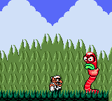 Wormwould | Mario Wiki | Fandom