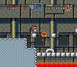 Forest Fortress | Mario Wiki | Fandom