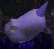 Rhino | Wiki Mario | Fandom