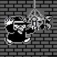 Sabasa | Super Mario Wiki | Fandom