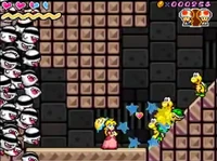 Boo Man Bluff | MarioWiki | Fandom