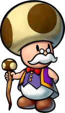 Maestro Kinopio | Super Mario Wiki | Fandom