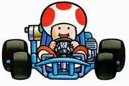 Toad | Super Mario Wiki | Fandom