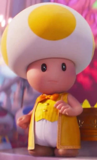 Yellow Council Toad | Mario Wiki | Fandom
