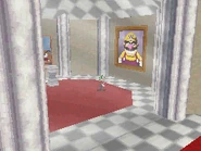 Mushroom Castle (Super Mario 64) | Mario Wiki | Fandom
