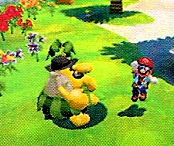 Accessory Pianta | Super Mario Wiki | Fandom