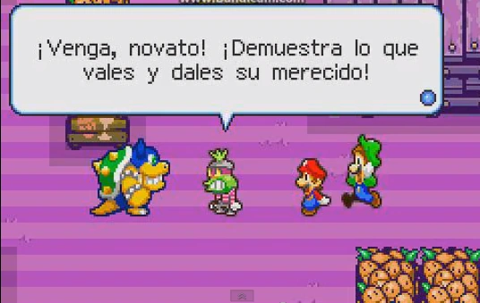 Panyo | Super Mario Wiki | Fandom