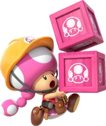 Super Mario Maker 2/Galerie | MarioWiki | Fandom