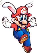 Super Mario Land 2: 6 Golden Coins/Gallery | Mario Wiki | Fandom