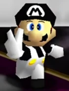 Mario | Super Mario 64 Hacks Wiki | Fandom