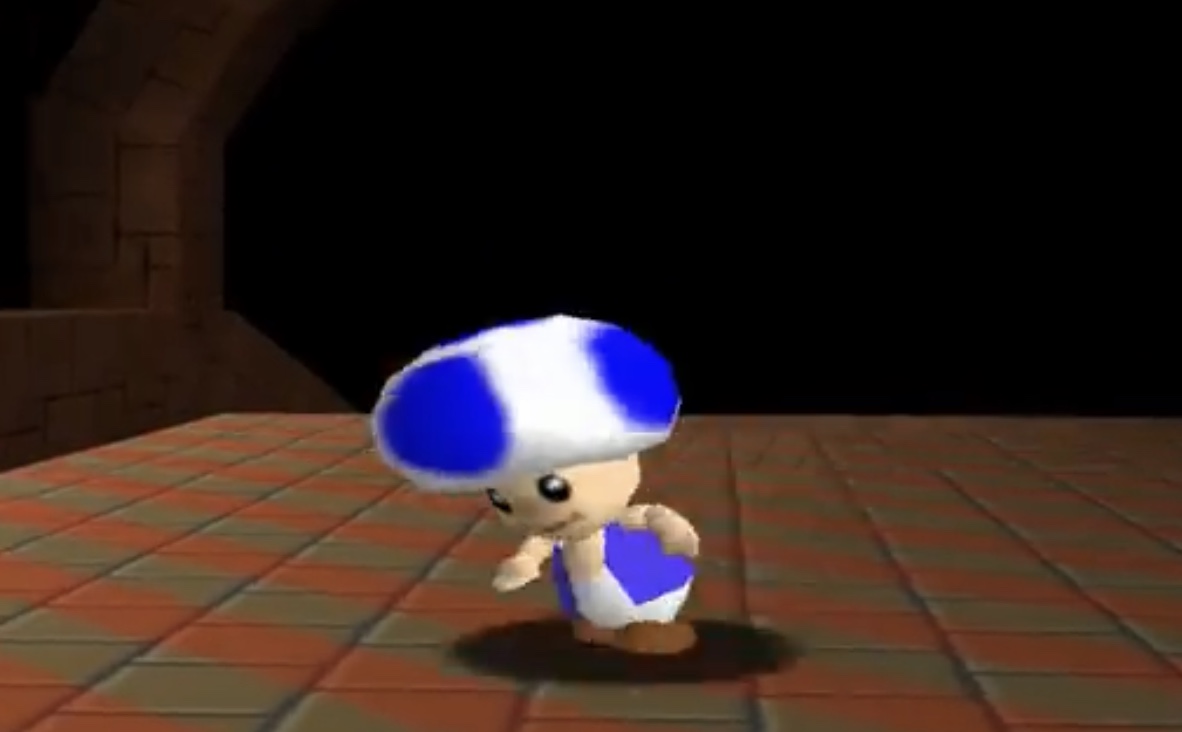Toad | Super Mario 64 Hacks Wiki | Fandom