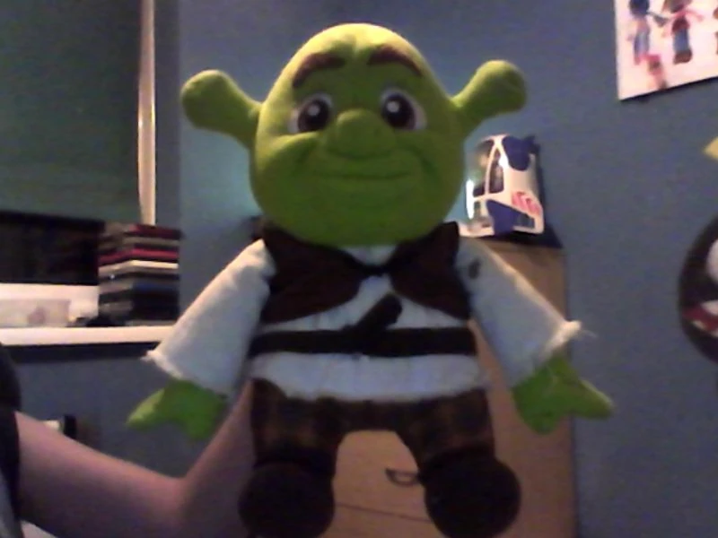 Shrek | MarioAndLuigiBros Wiki | Fandom