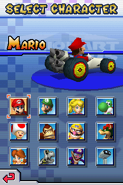 Characters | Mario Kart Racing Wiki | Fandom