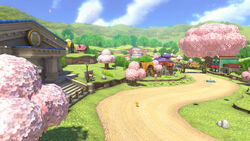 Animal crossing mario kart store