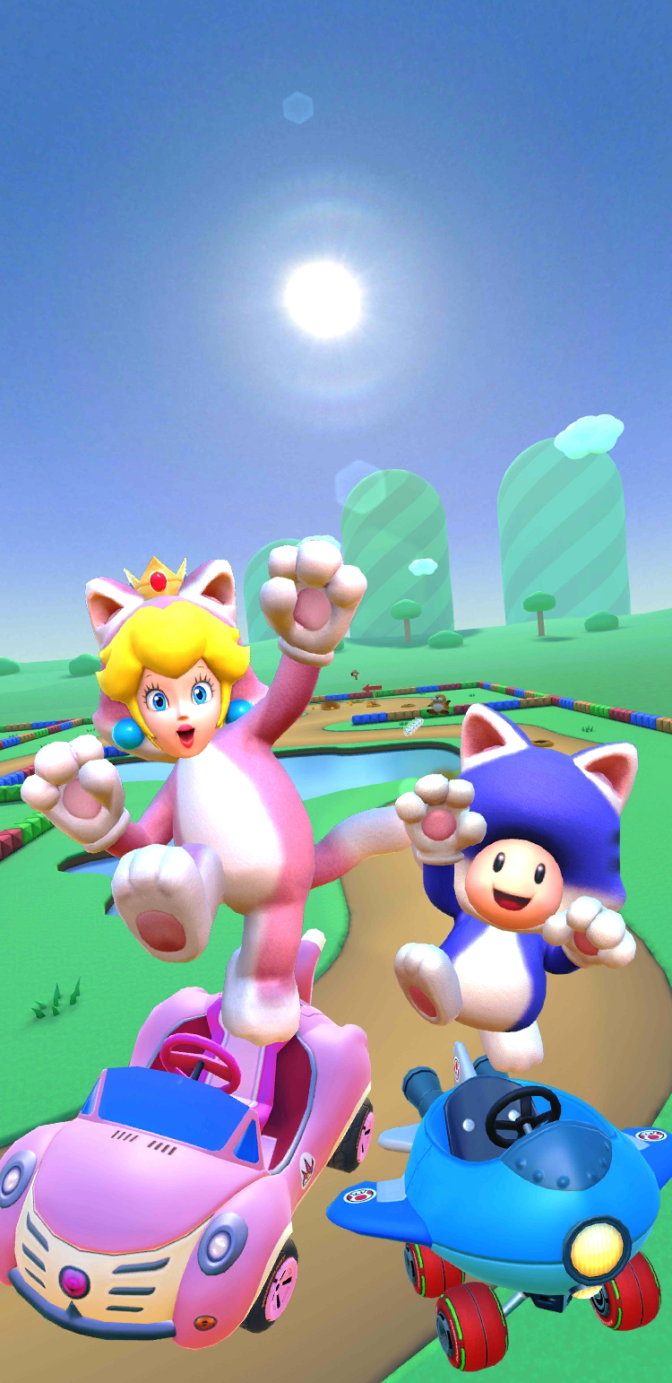 Cat Tour (2021) | Mario Kart Racing Wiki | Fandom