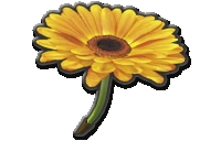 Flower Glider | Mario Kart Racing Wiki | Fandom