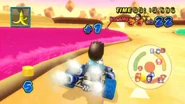 Coin Runners | Mario Kart Racing Wiki | Fandom