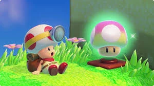 Invincibility Mushroom | Mario Kart Wii Wiki | Fandom