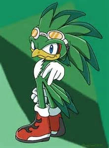 Jet the Hawk | Mario Kart Wii Wiki | Fandom