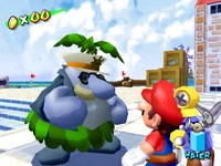 Pianta captain | Mario Kart Wii Wiki | Fandom