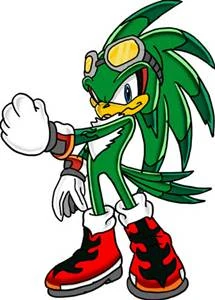 Jet the Hawk | Mario Kart Wii Wiki | Fandom