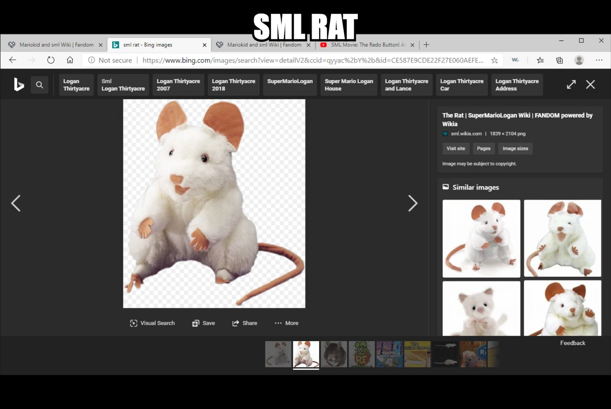 Sml rat | Mariokid and sml Wiki | Fandom