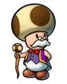 Toadsworth | Mario and Luigi Wiki | Fandom