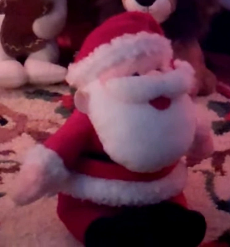 Santa Claus | Marioluigiplushbros Wiki | Fandom