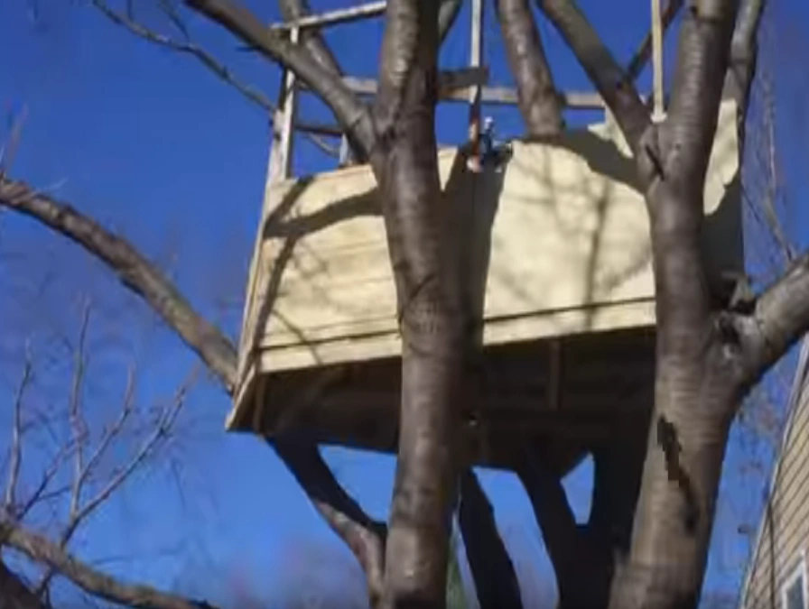 The Treehouse | Marioluigiplushbros Wiki | Fandom