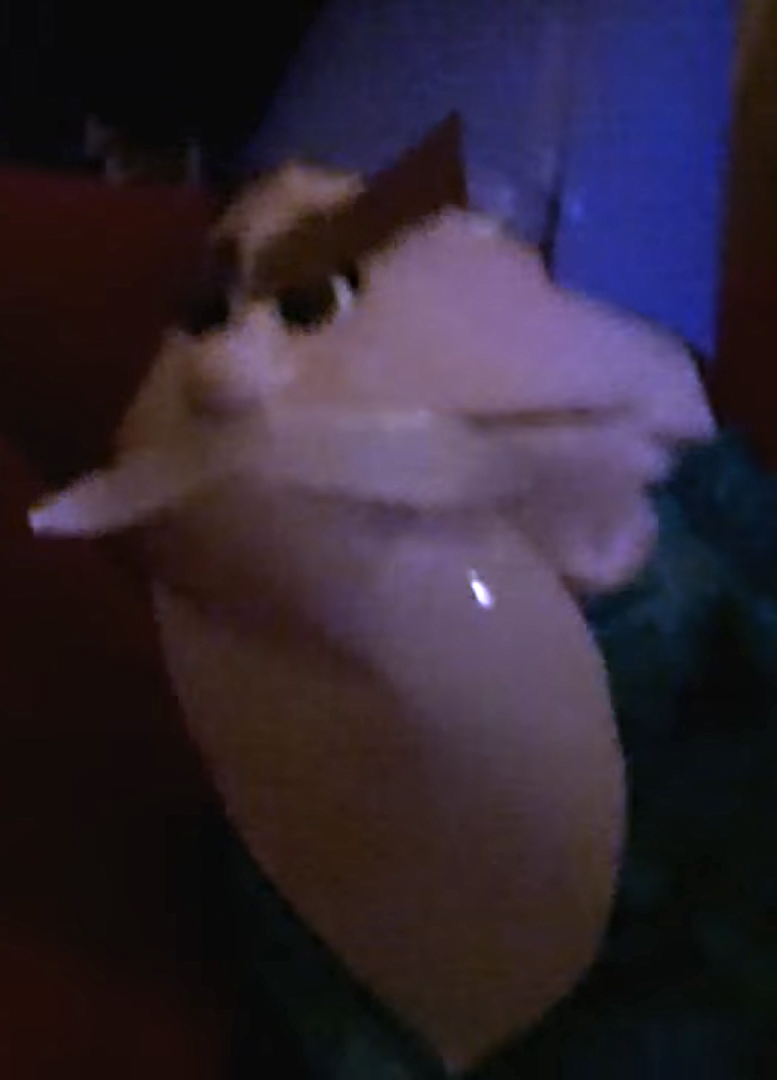 Mr Sandman Marioluigiplushbros Wiki Fandom