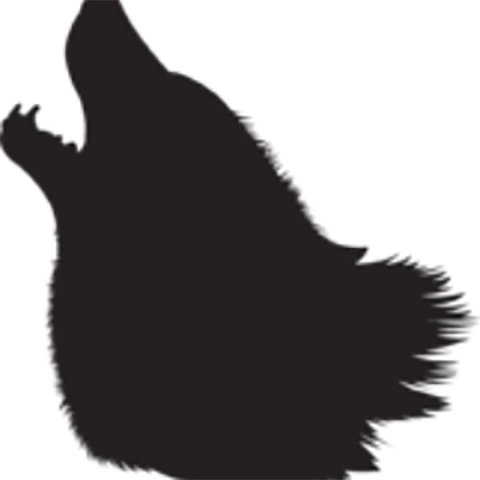 Wolf of Storms | Mario Masters Invitational Wikia | Fandom