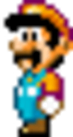 Sponge | Mario's Mystery Meat Wiki | Fandom