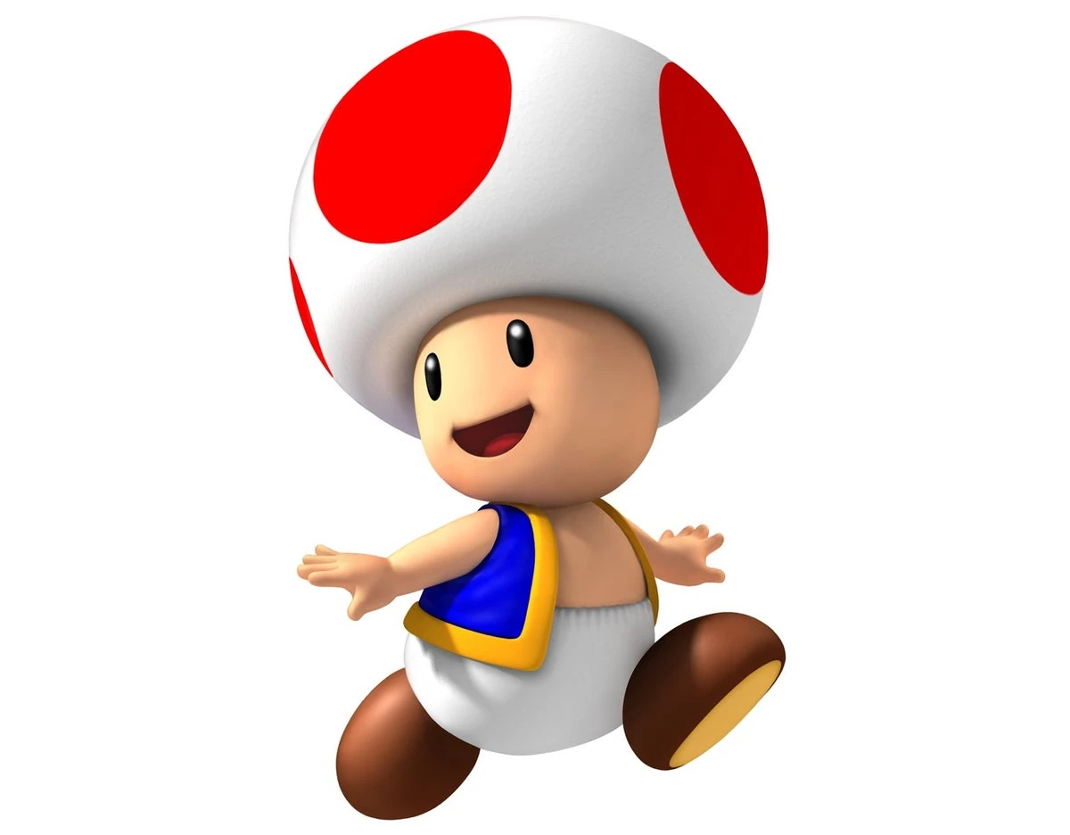 Toad | Mario's Shop Wiki | Fandom