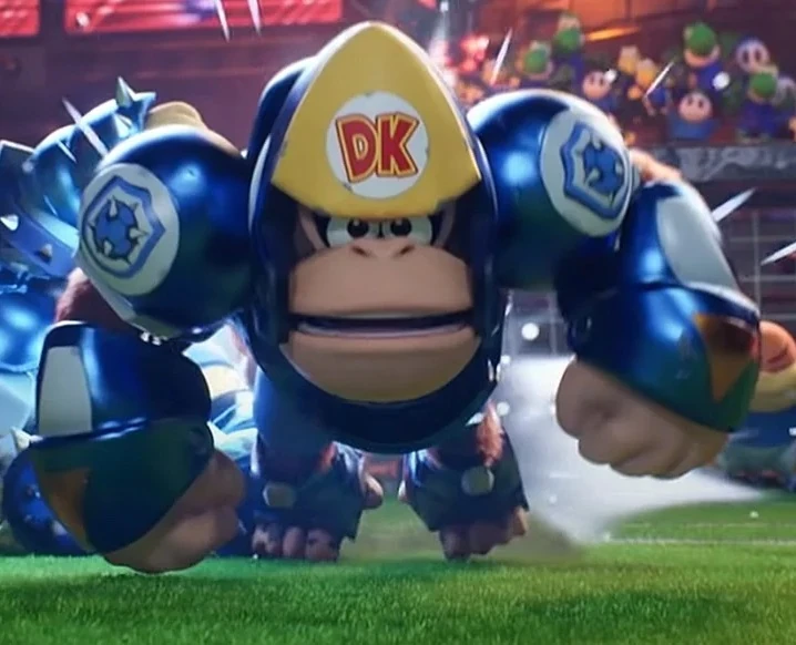 DK | Mario Strikers Wiki | Fandom