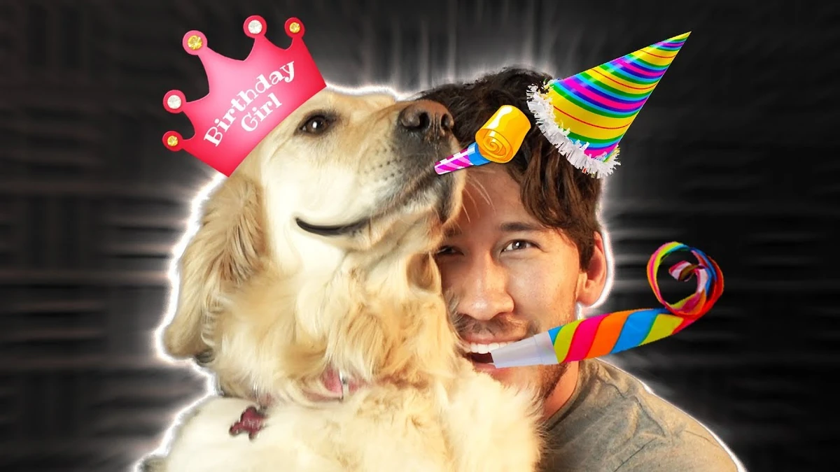 IT'S CHICA'S BIRTHDAY!! | Markiplier Wiki | Fandom