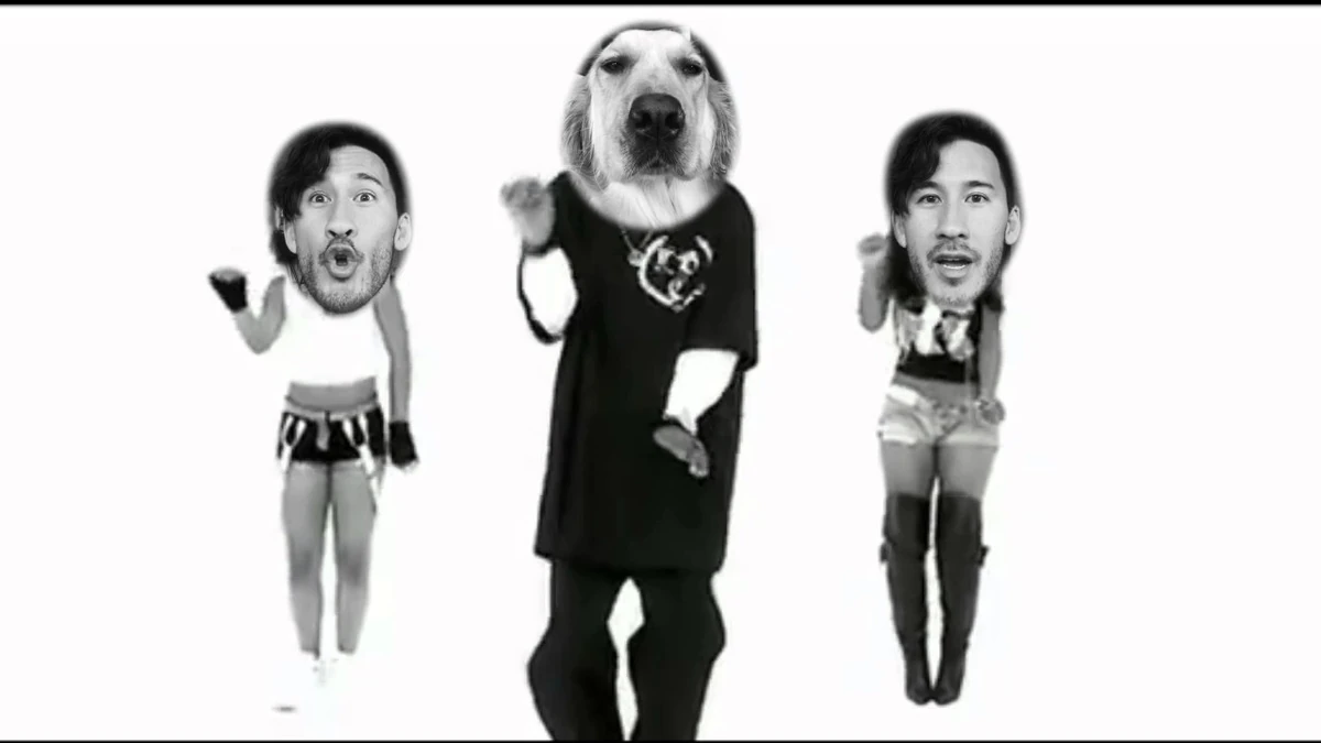 snoot | Markiplier Wiki | Fandom