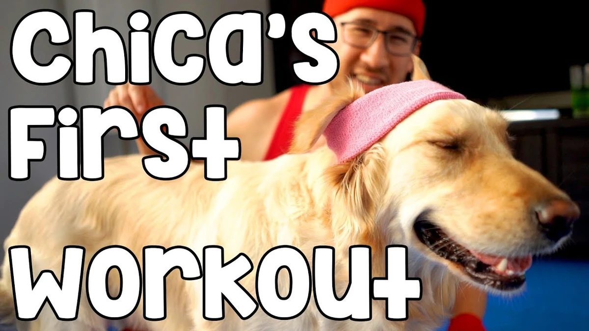 CHICA'S FIRST WORKOUT | Markiplier Wiki | Fandom