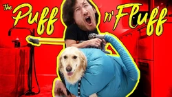 the PUFF n' FLUFF | Markiplier Wiki | Fandom