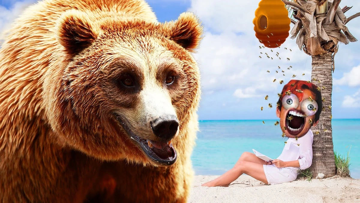 bears... | Markiplier Wiki | Fandom