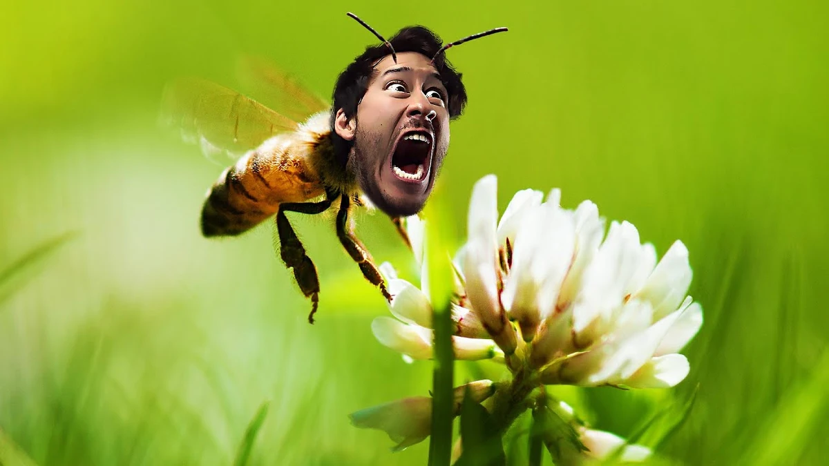 BEECOME THE BEE | Markiplier Wiki | Fandom