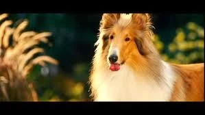 Jezebel | Marmaduke Wiki | Fandom