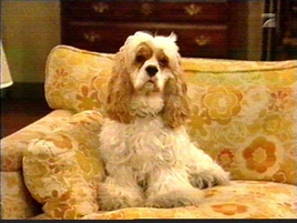 Lucky Bundy | Married with Children Wiki | Fandom