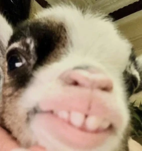 My Playlist #1 | Mars Argo Wiki | Fandom