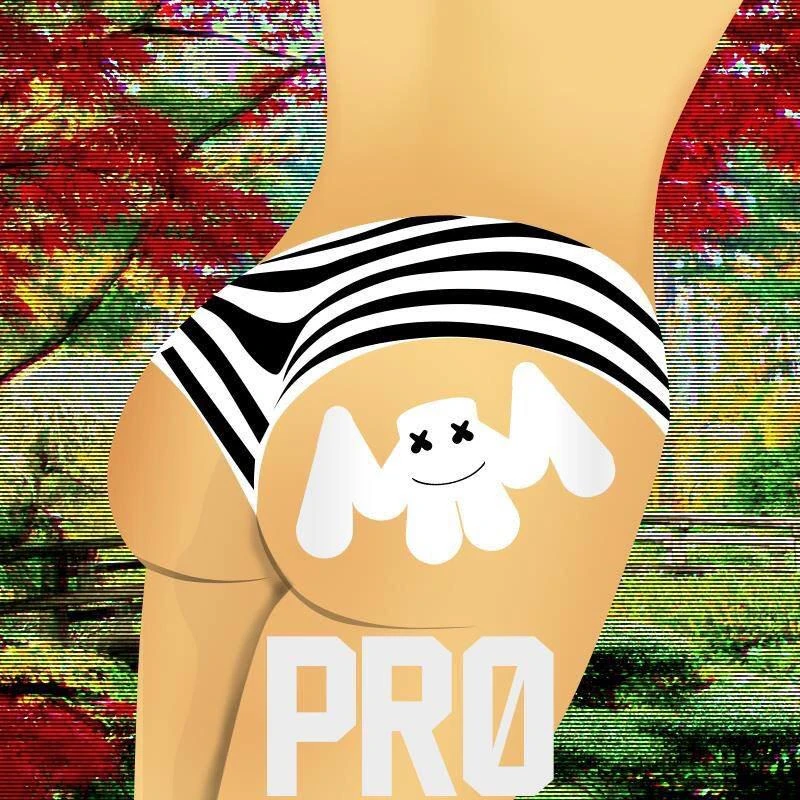 Pro | Marshmello Wiki | Fandom