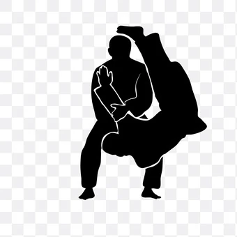 Judo | Martial Arts in Fiction Wiki | Fandom